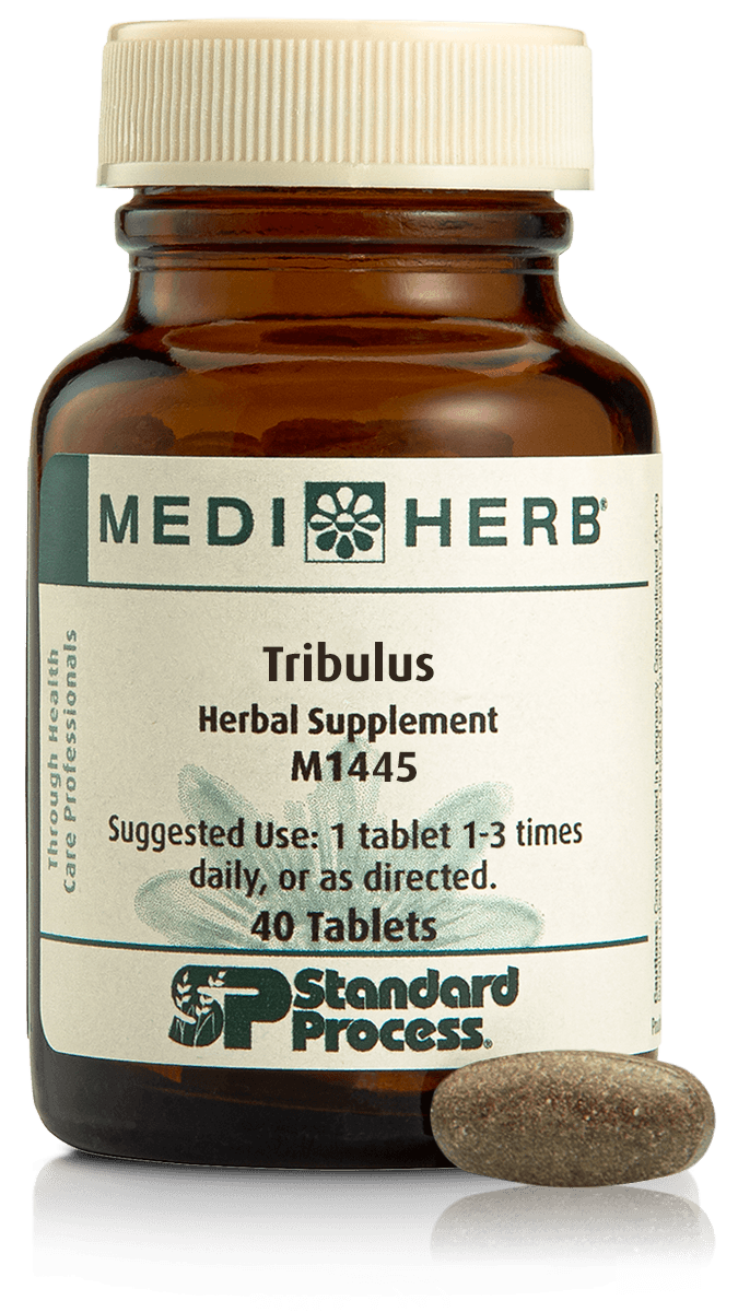 Tribulus, 40 Tablets – Forbidden Doctor